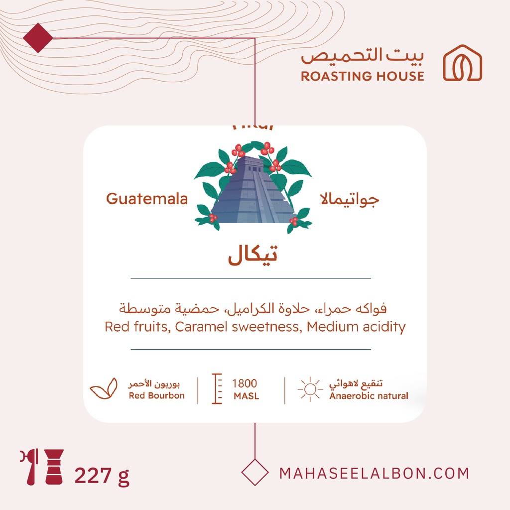 Guatemala -Tikal - 227G -Roasting House Roaster | Mahaseel Albon