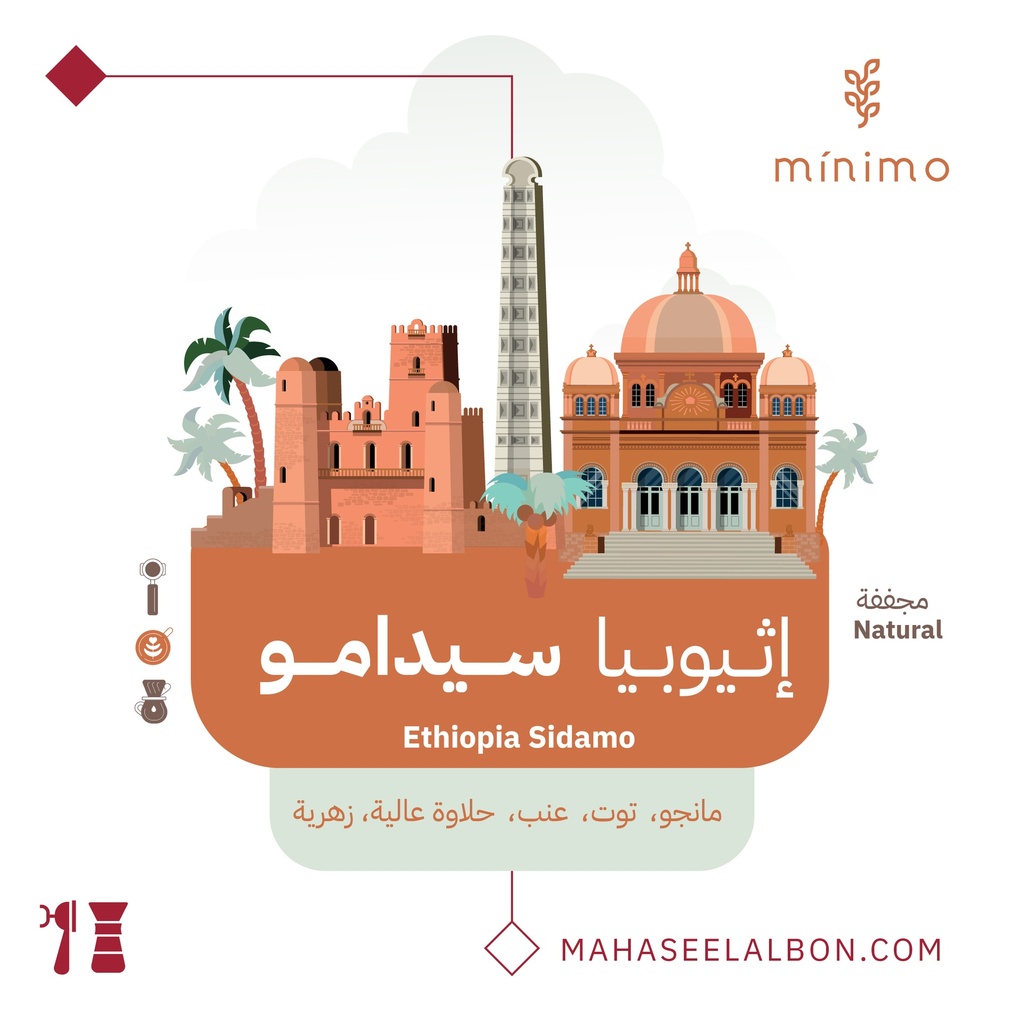 Ethiopia - Sidamo -1kg-Minimo Roastery | Mahaseel Albon